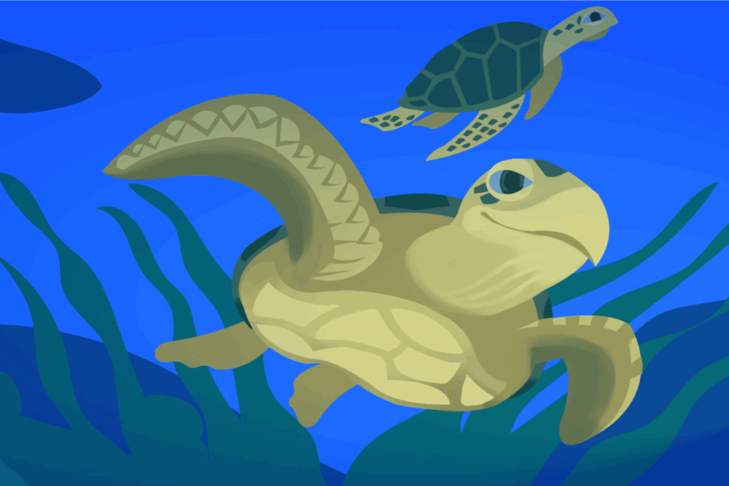 Caregiver hub | Amplify